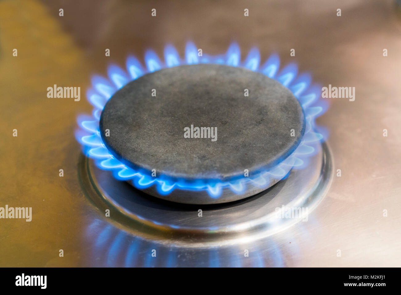 Burning blue flame gas burner on the washed plate Stock Photo - Alamy