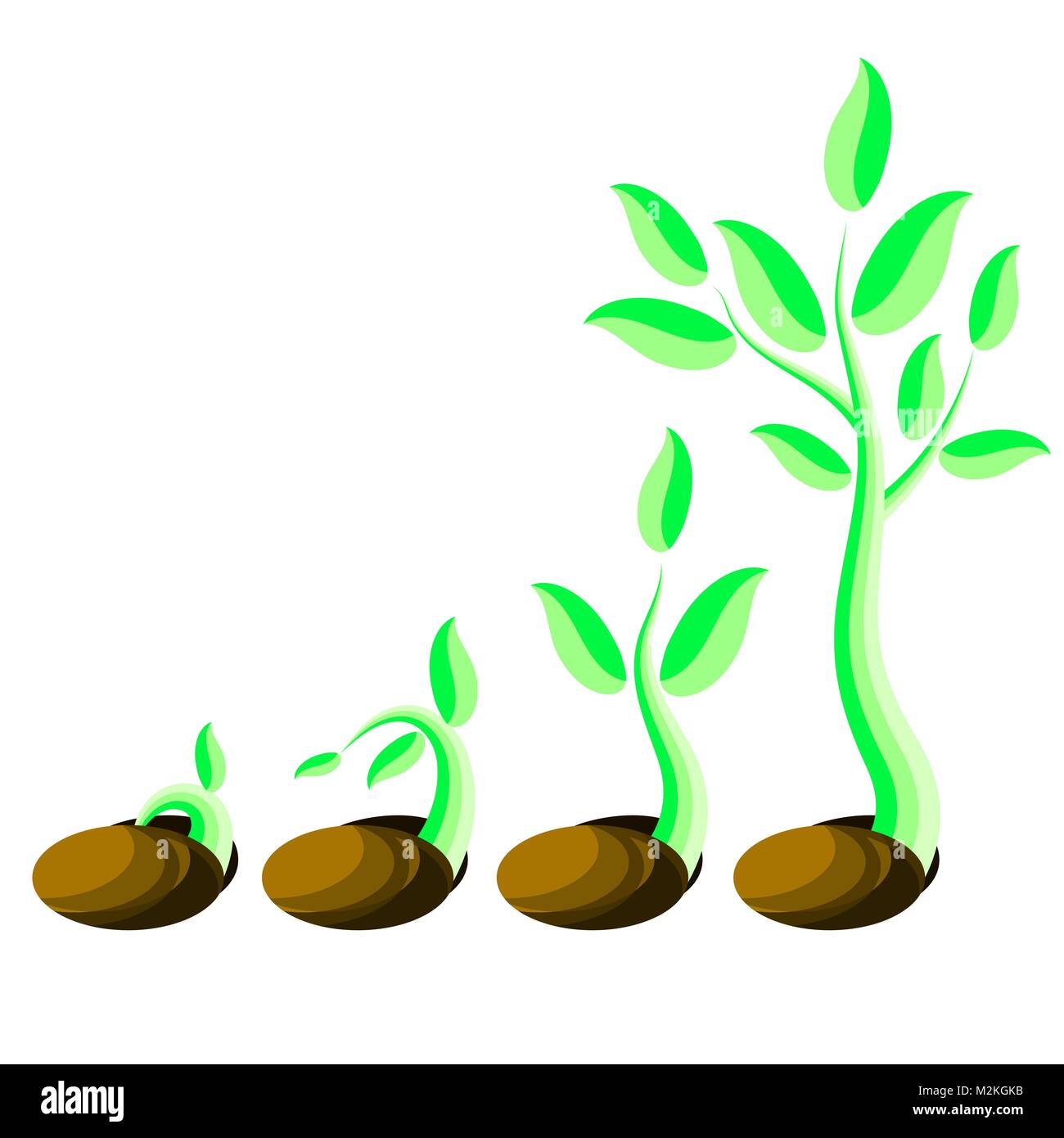 Phases Plant Growth. Little Green Sprout Seedling Germinating from Seed ...