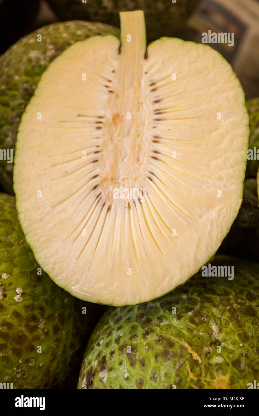 Jamaican breadfruit food photograph Stock Photo - Alamy