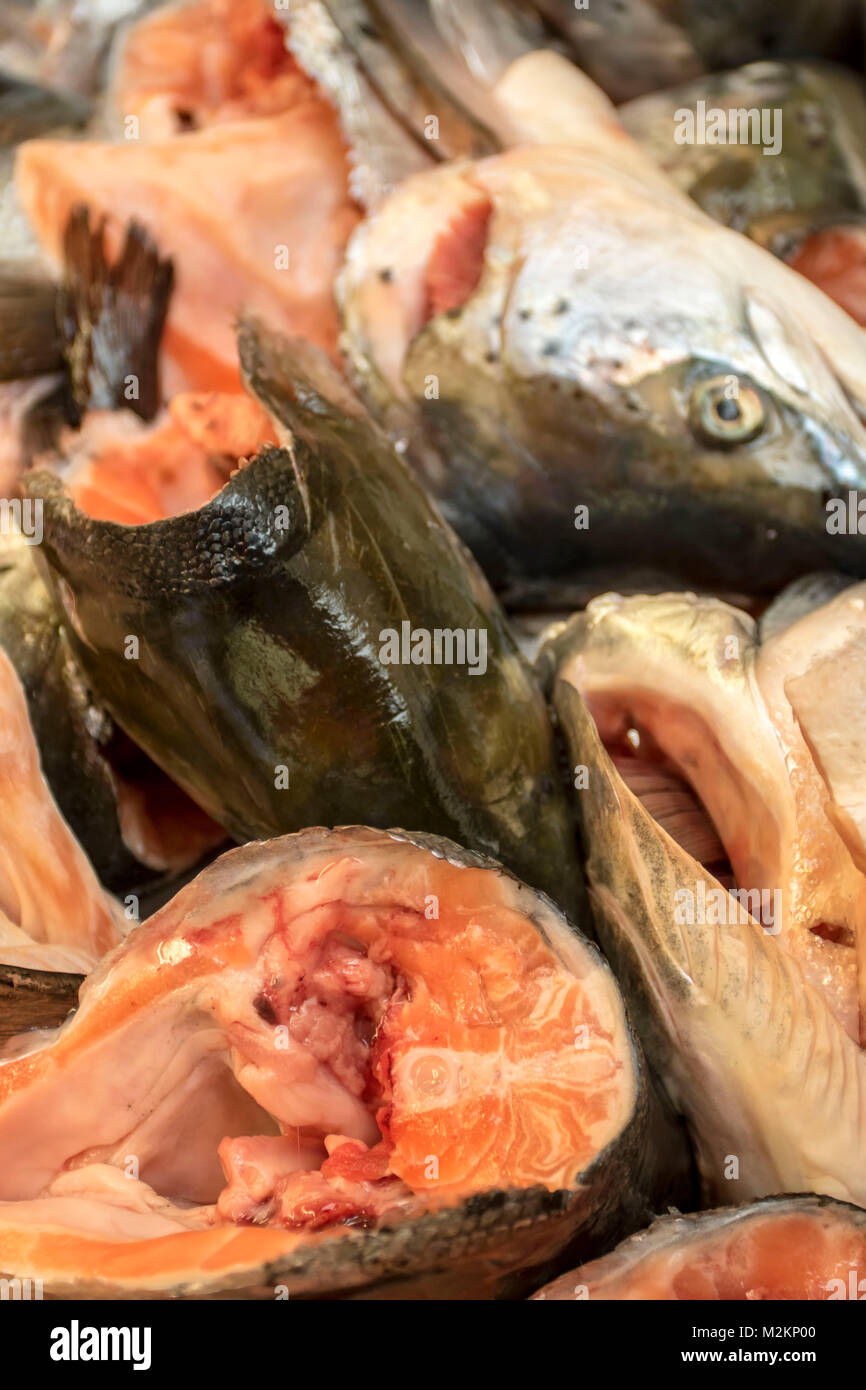 Fish for sale in Dalston market, East London, England, Great Britain ...