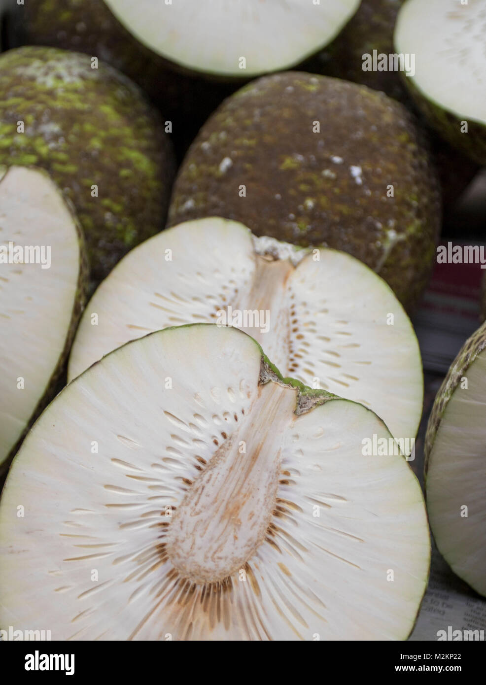 Jamaican breadfruit sliced to show patterned internal atoll-life Stock ...