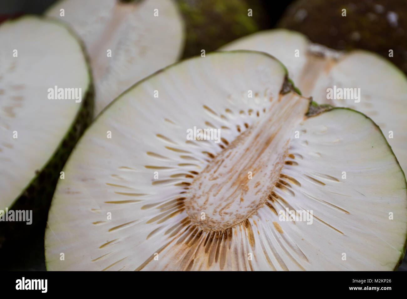 Jamaican breadfruit sliced to show patterned internal atoll-life Stock ...
