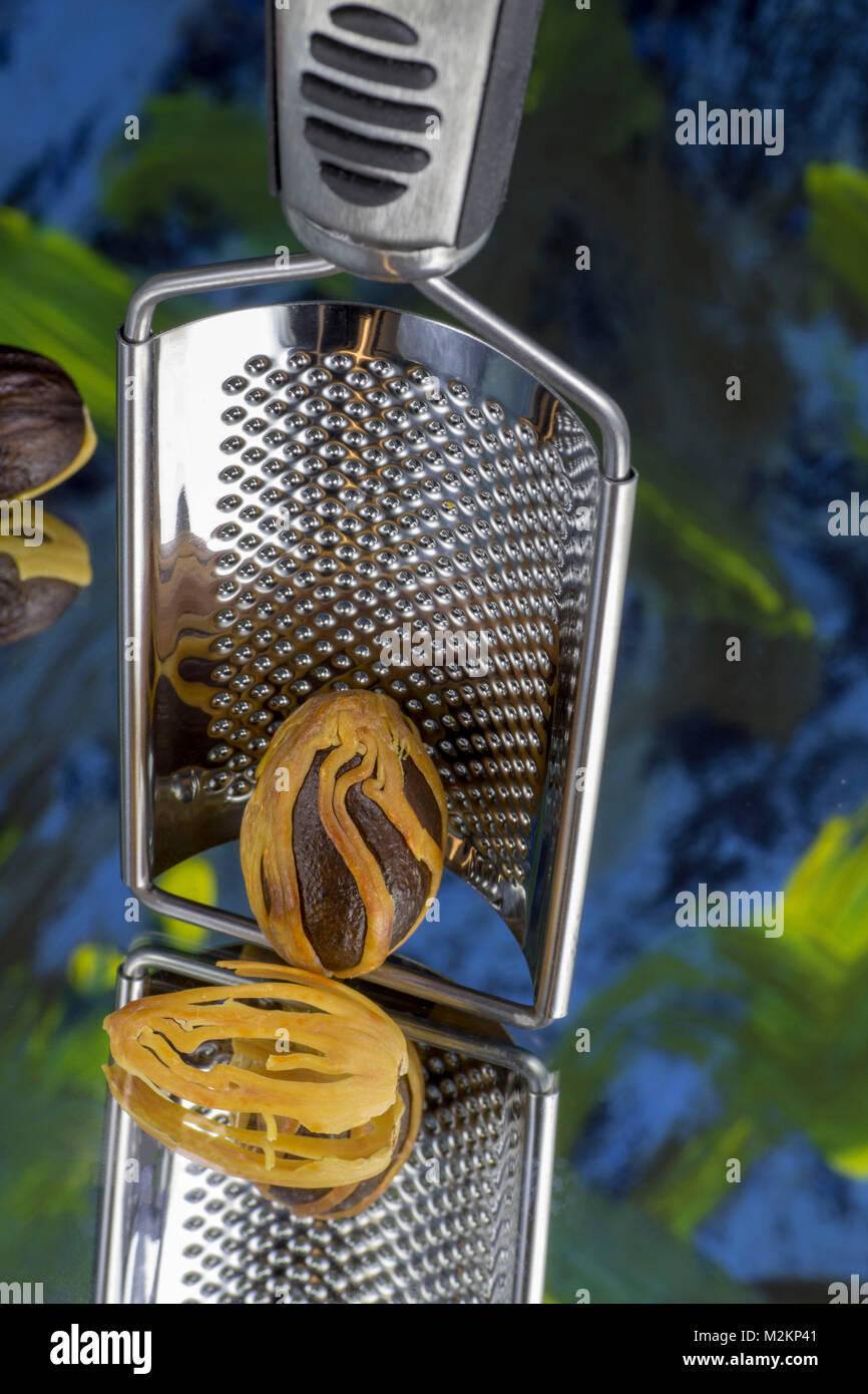 Nutmeg, Mace covering and grater on a reflective background food still ...
