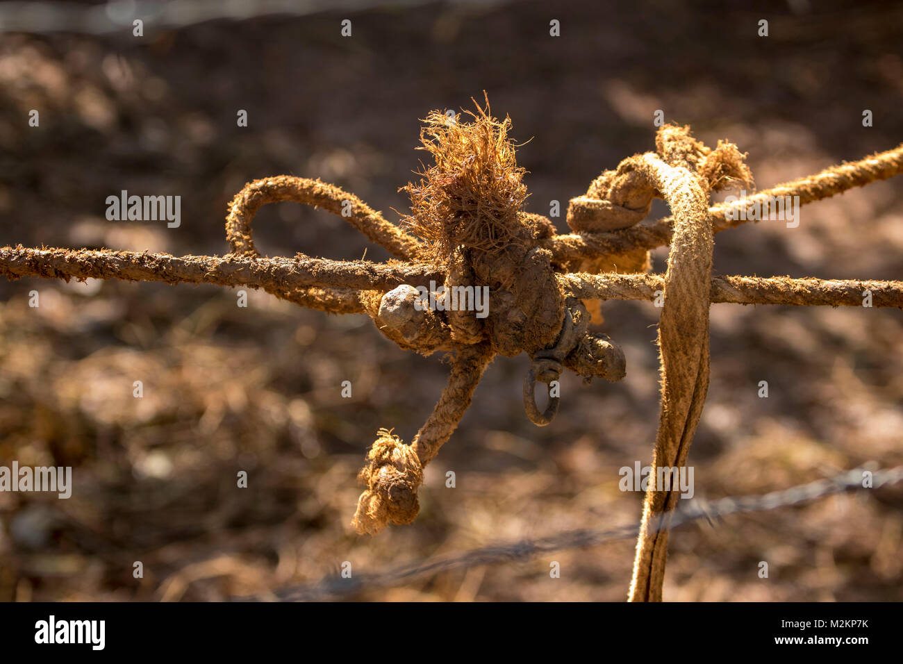 Abstract still-life photograph of rope on a cattle smallholding in ...