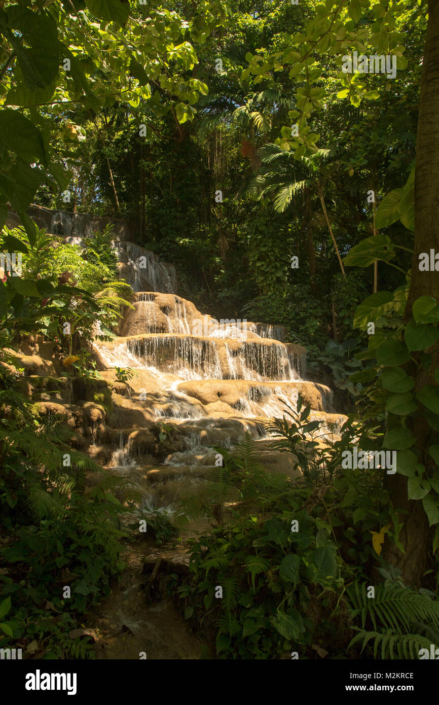 Mahoe falls in the Cayoba botanic gardens, Ocho Rios, Jamaica, West ...