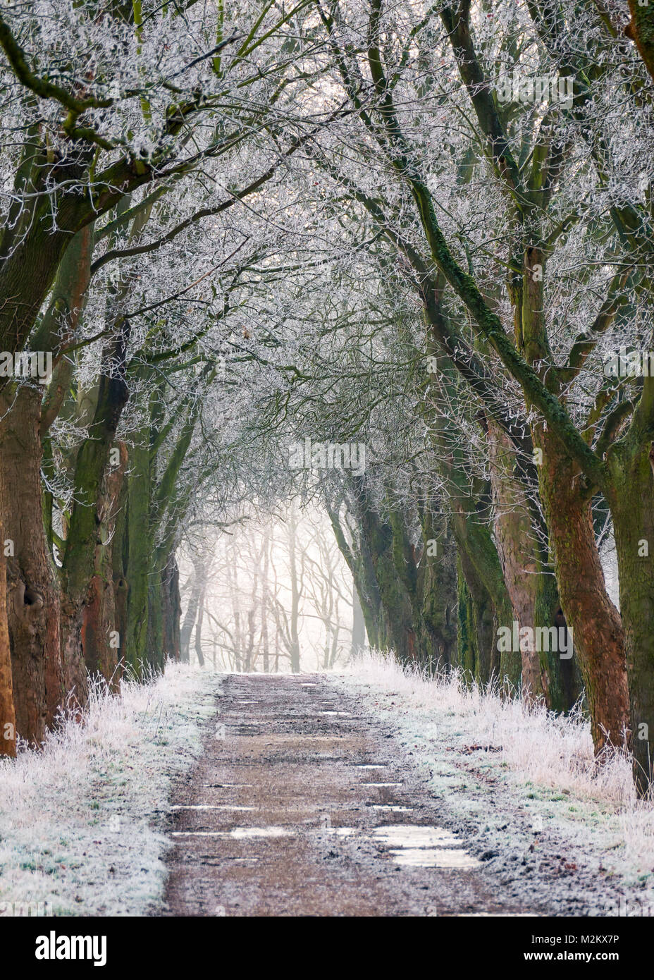 Soft path hi-res stock photography and images - Alamy