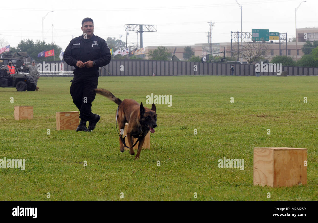 Travis County Deputy Gilbert A. Hernandez follows Miletonde, his German ...