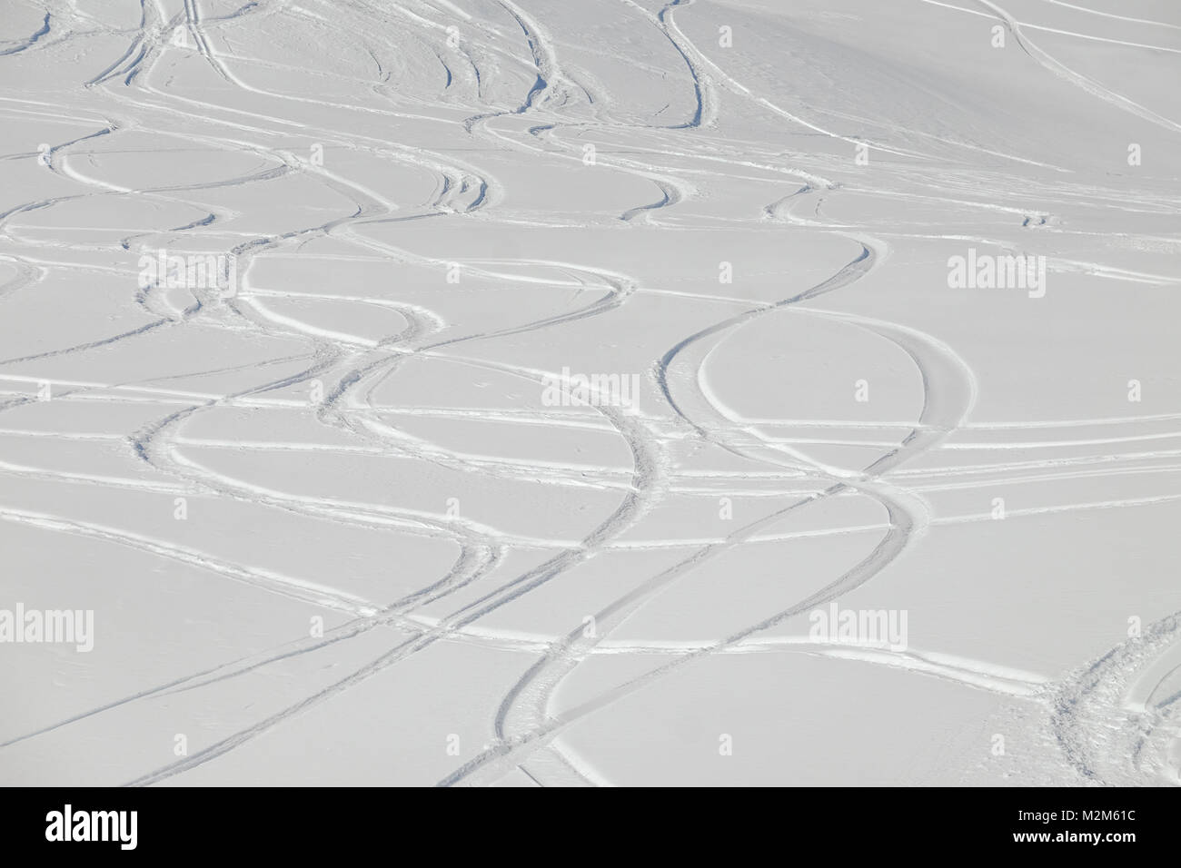 multiple ski tracks in new powder snow Stock Photo - Alamy