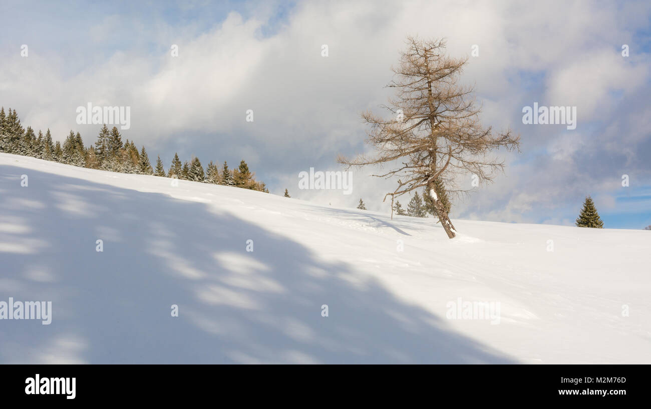winter landscape in a mountain valley with snow Stock Photo - Alamy