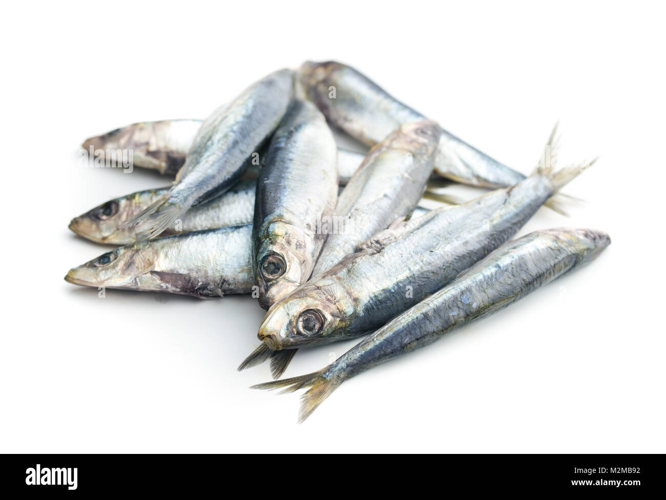 Raw sardines fish isolated on white background Stock Photo - Alamy