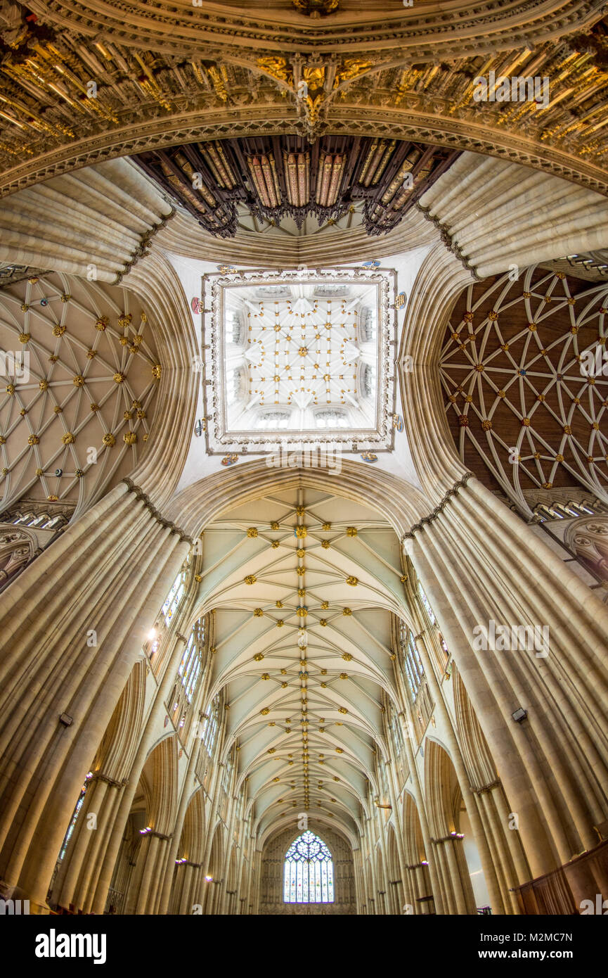 Vertical detailed view window hi-res stock photography and images - Alamy