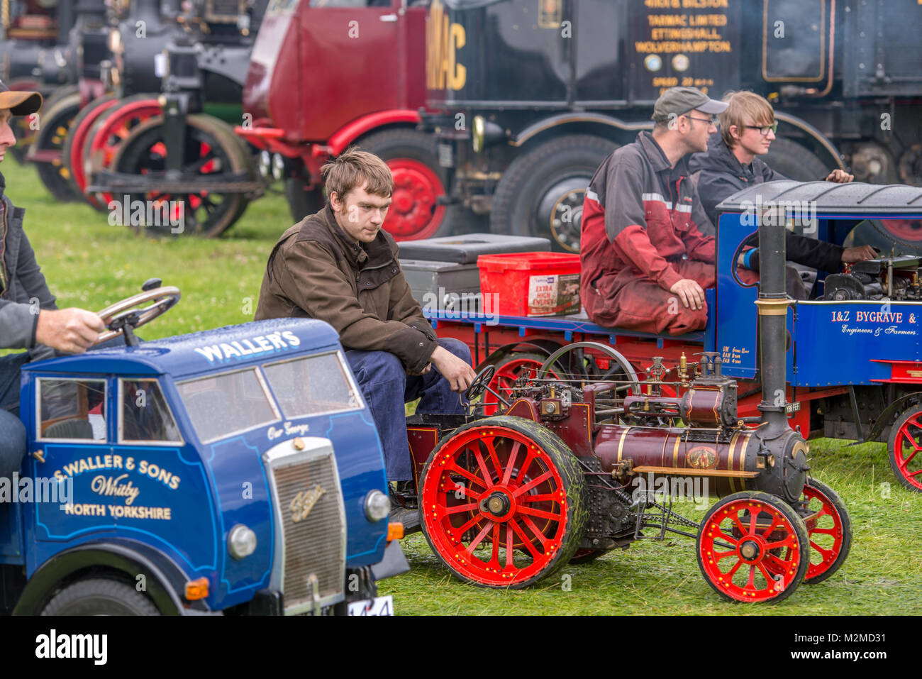 Young males ride along in miniature tractor steam engines, Masham ...