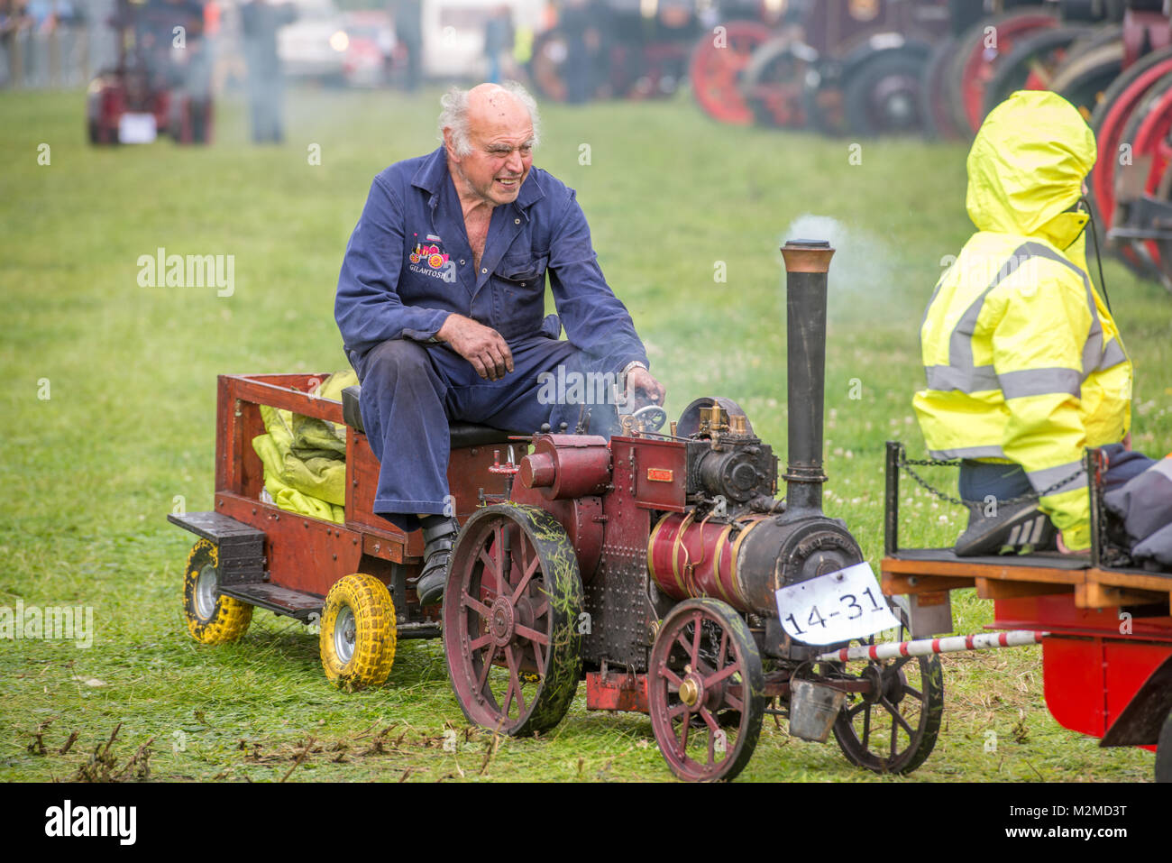 Mature male rides along on miniature tractor steam engine while a child ...