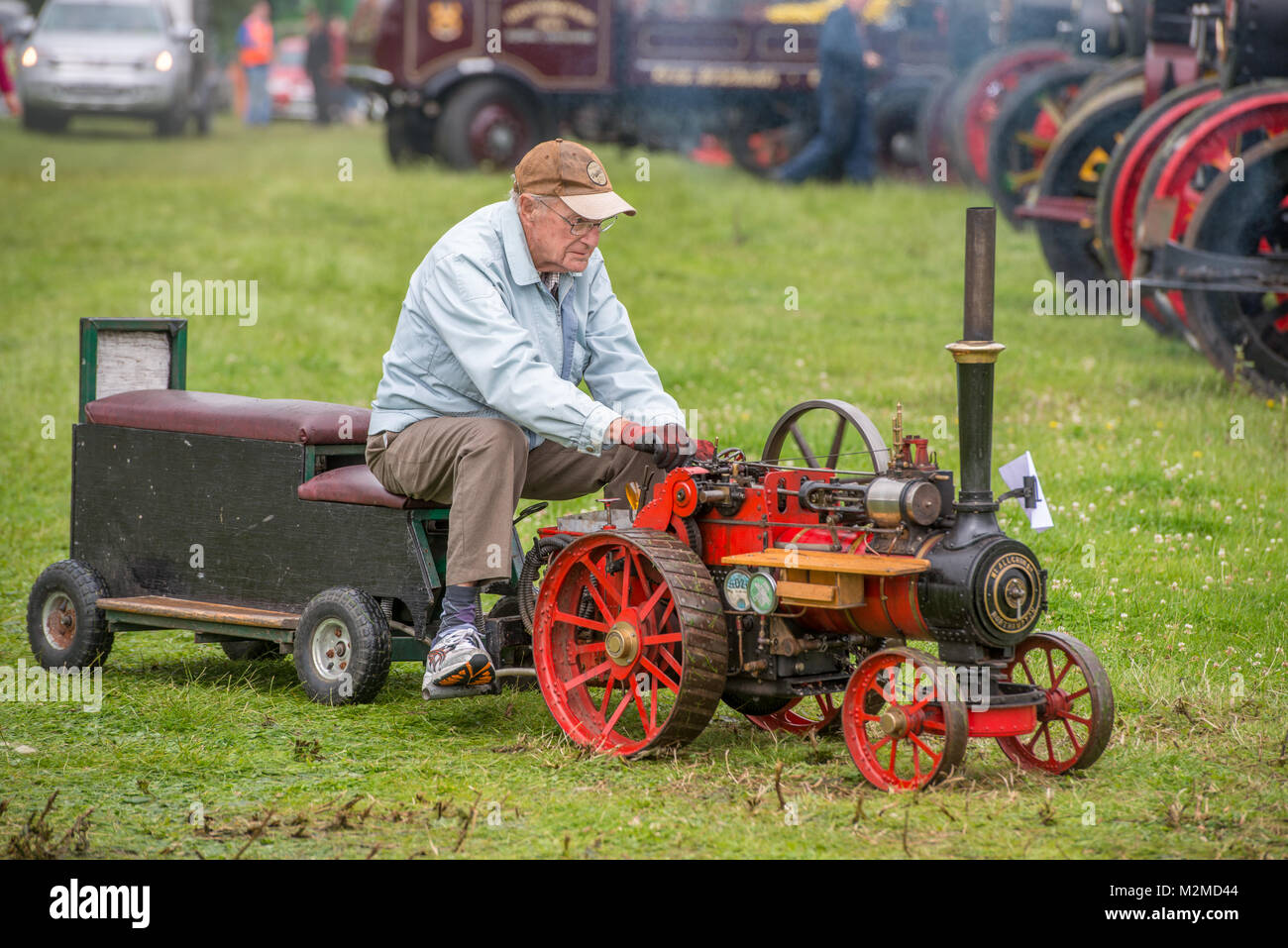 Mature male in hat drives miniature tractor steam engine on grass ...
