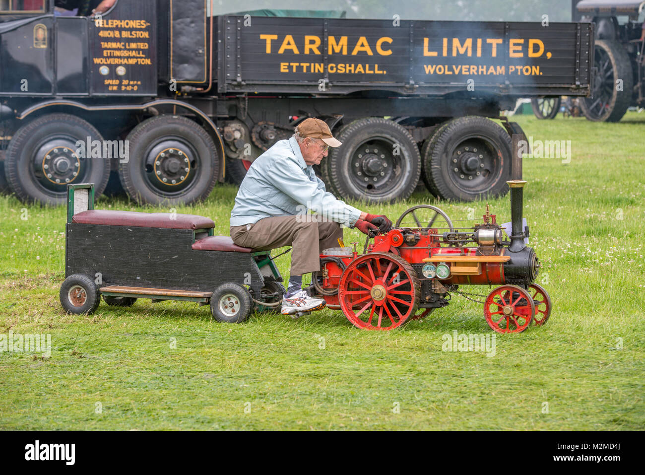 Mature male in hat drives miniature tractor steam engine on grass ...