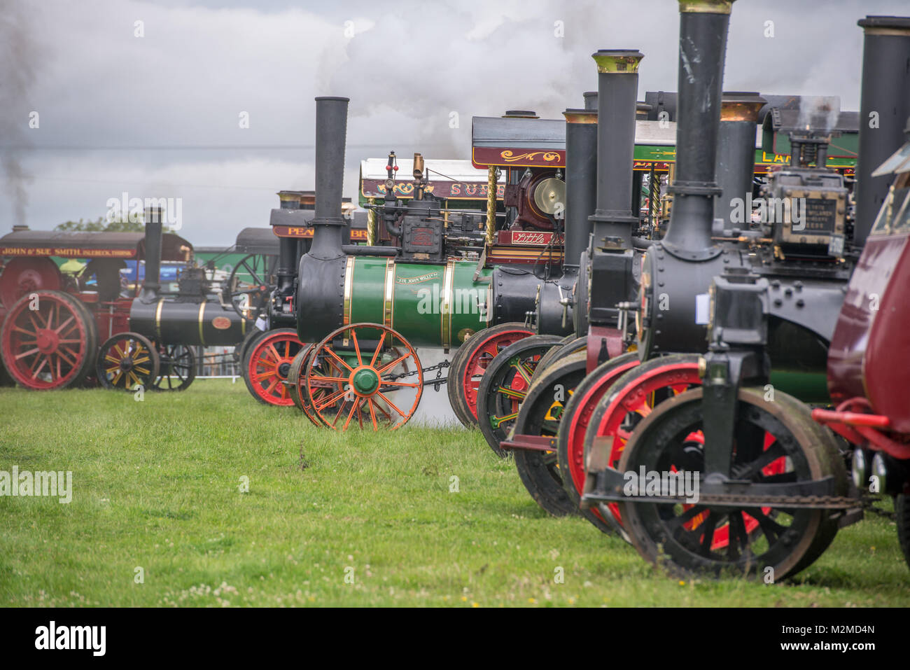 A neat line of vintage steam engine tractors await their turn to go ...