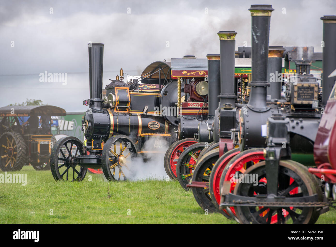 A black steam engine tractor breaks away from group of other vintage ...