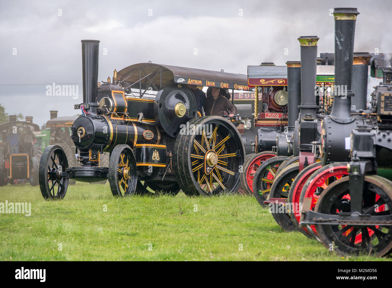 A black steam engine tractor breaks away from group of other vintage ...