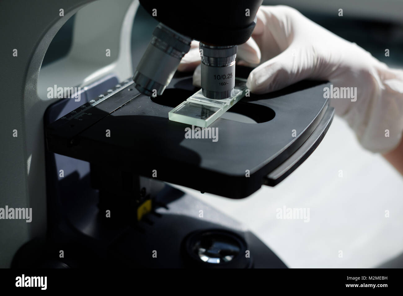 close up of scientist hands with microscope, examining samples in ...