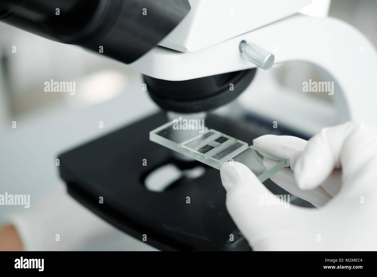 close up of scientist hands with microscope, examining samples in ...