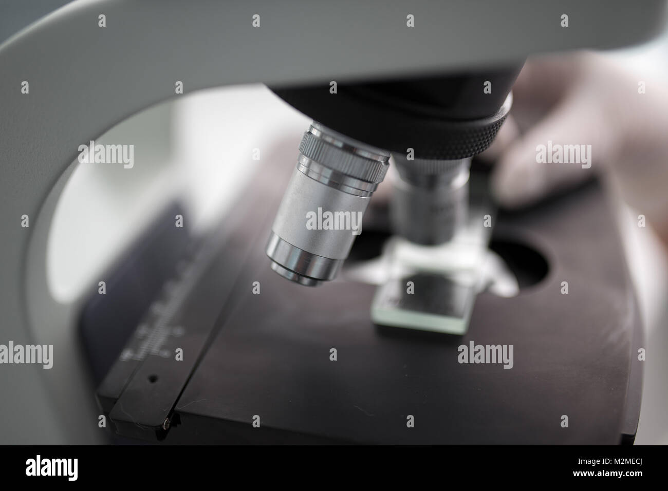 close up of scientist hands with microscope, examining samples in ...