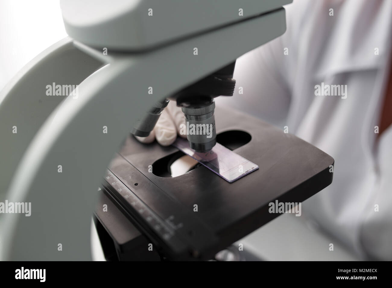 close up of scientist hands with microscope, examining samples in ...