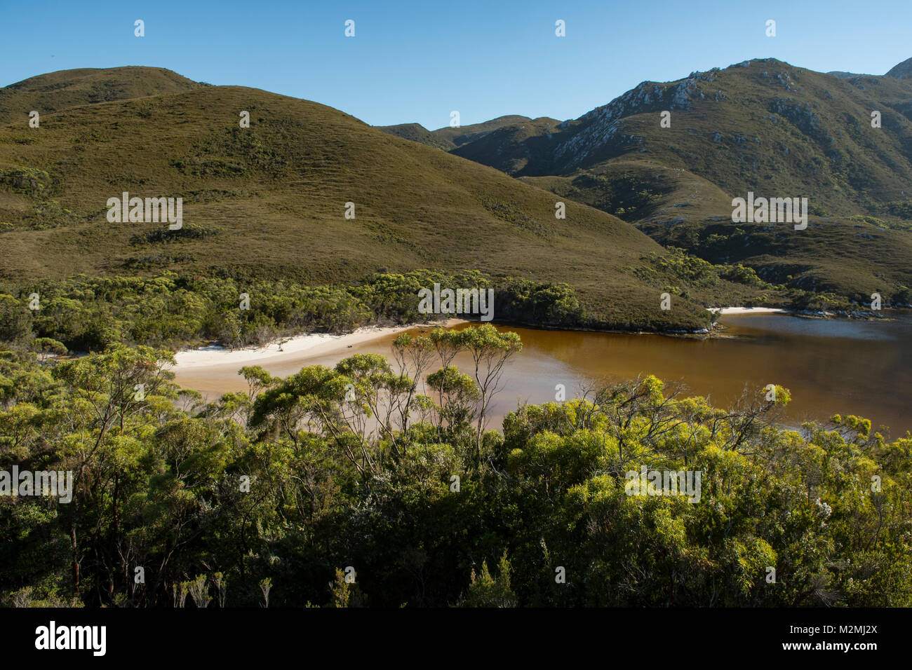 Beach at Bramble Cove, Port Davey, Tasmania, Australia Stock Photo - Alamy