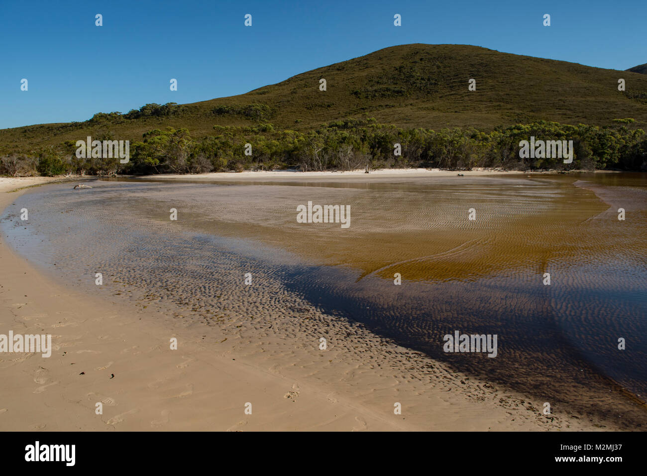 Beach at Bramble Cove, Port Davey, Tasmania, Australia Stock Photo - Alamy