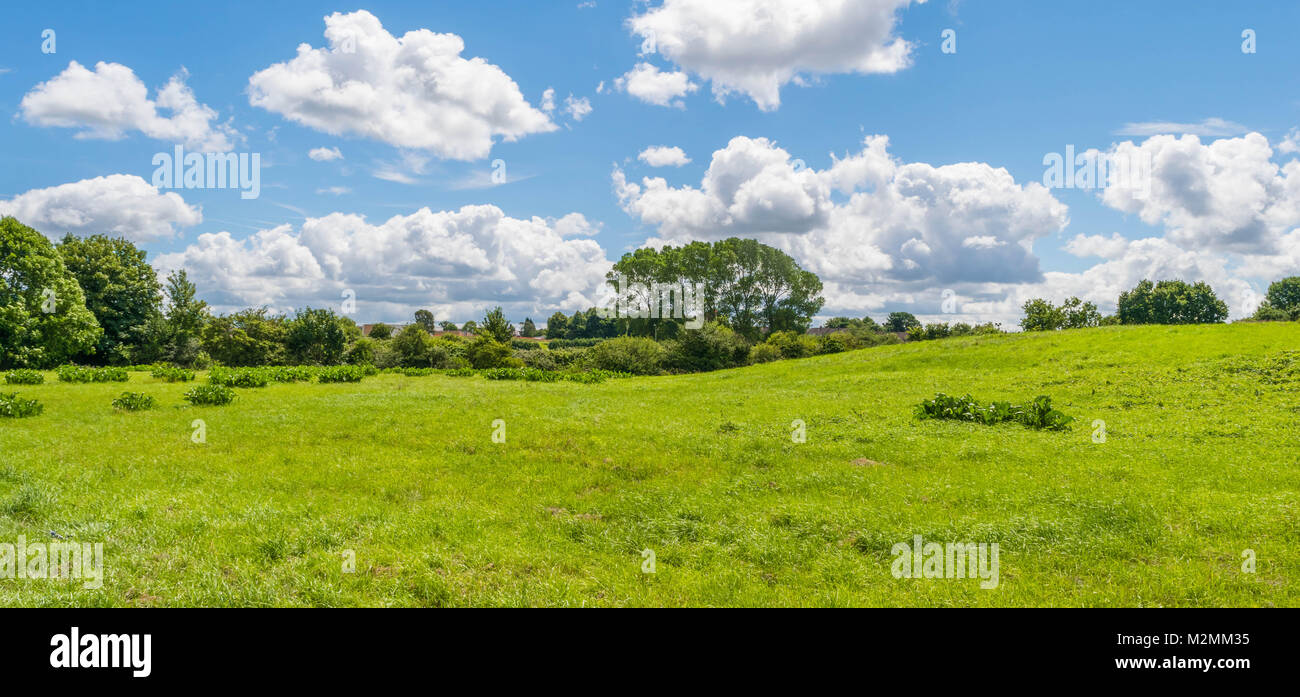 Beautiful park scene in public park with green grass field, green tree ...