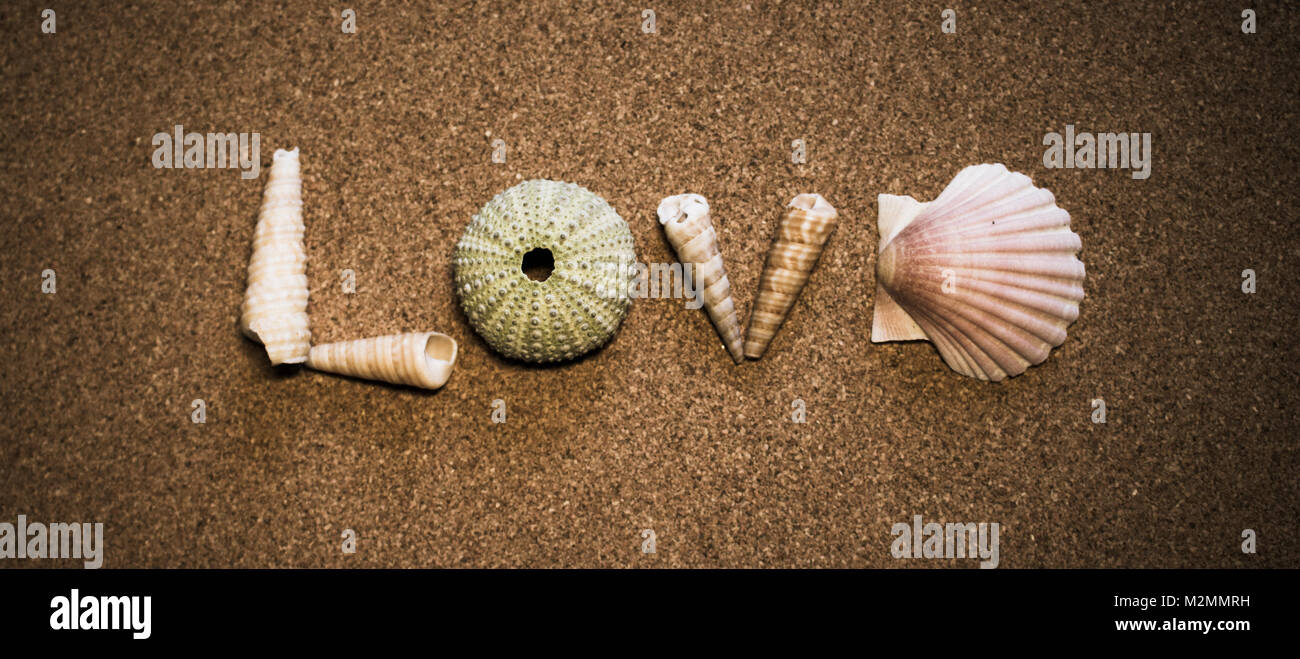 Love. The word "love" of sea shells on a brown background Stock Photo ...