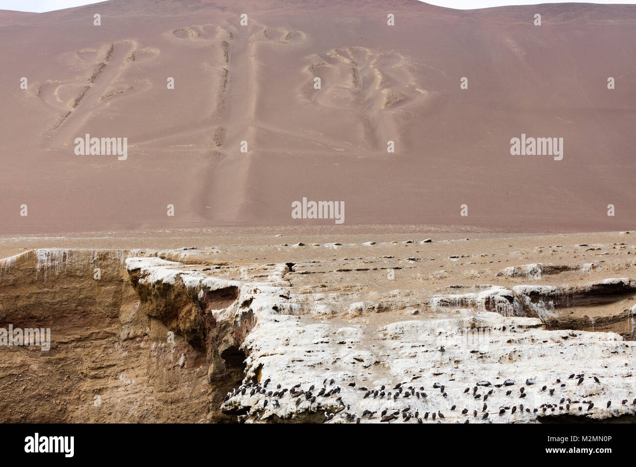Ancient large-scale geoglyph Candelabrum figure in Paracas national ...