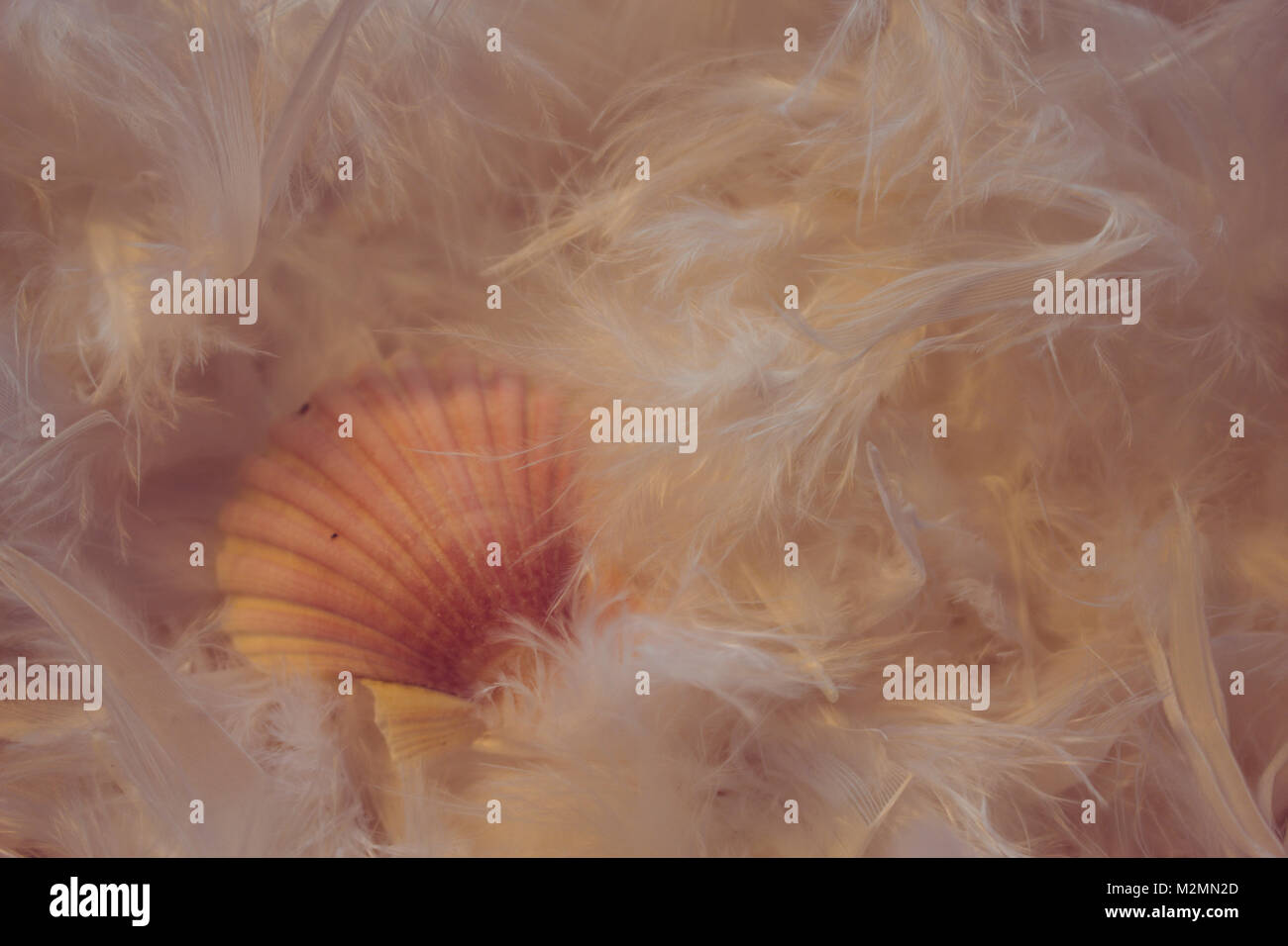 Soft light natural texture hi-res stock photography and images - Alamy