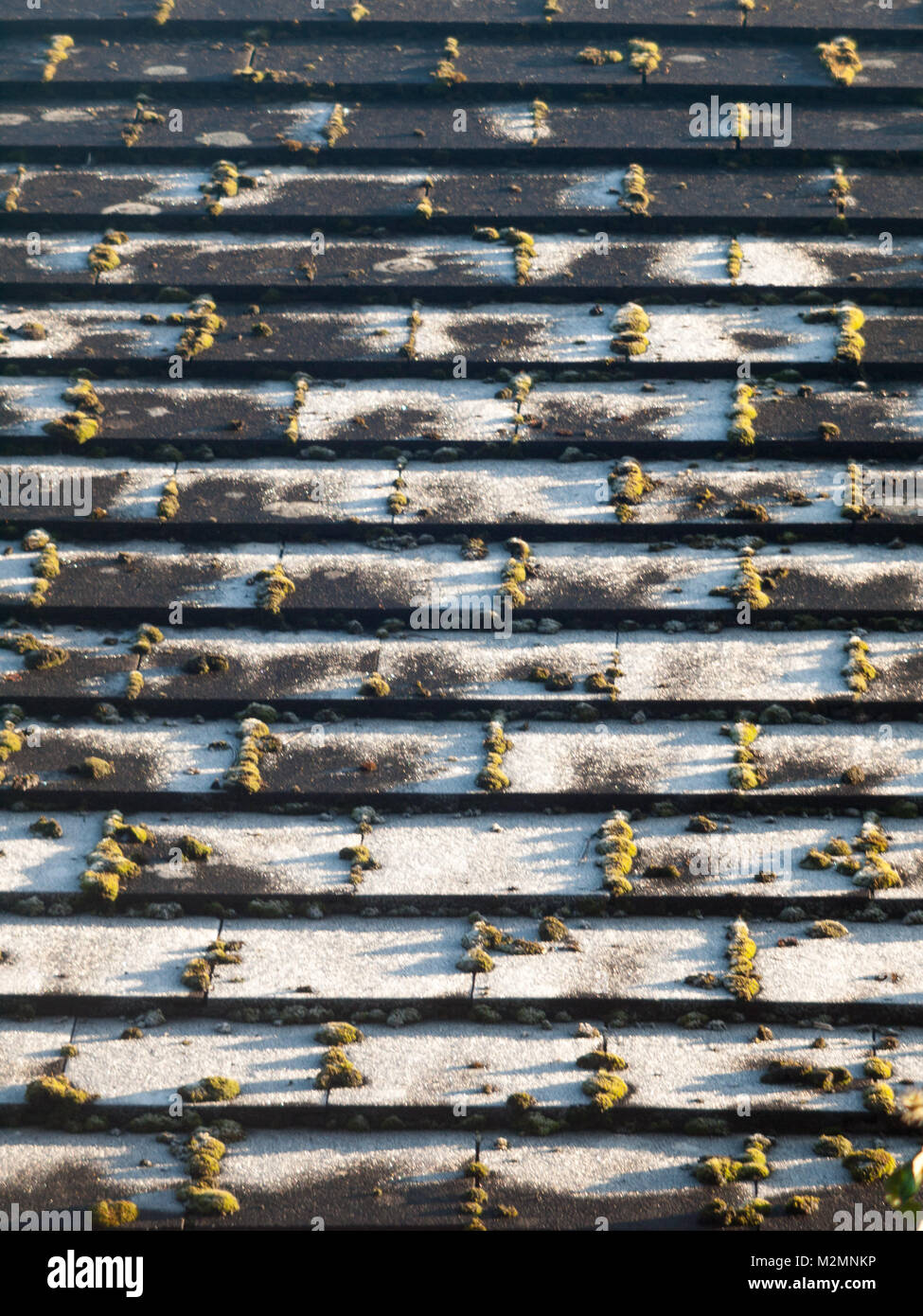 slate black tiled surface rooftop pattern house; essex; england; uk ...