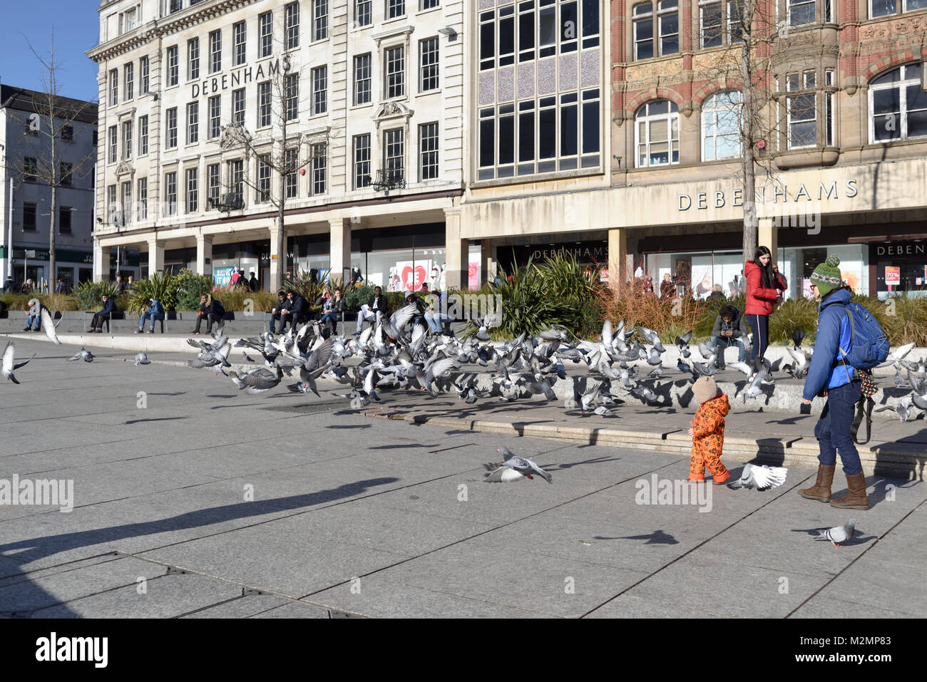 Flying pigeon flock winter uk hi-res stock photography and images - Alamy