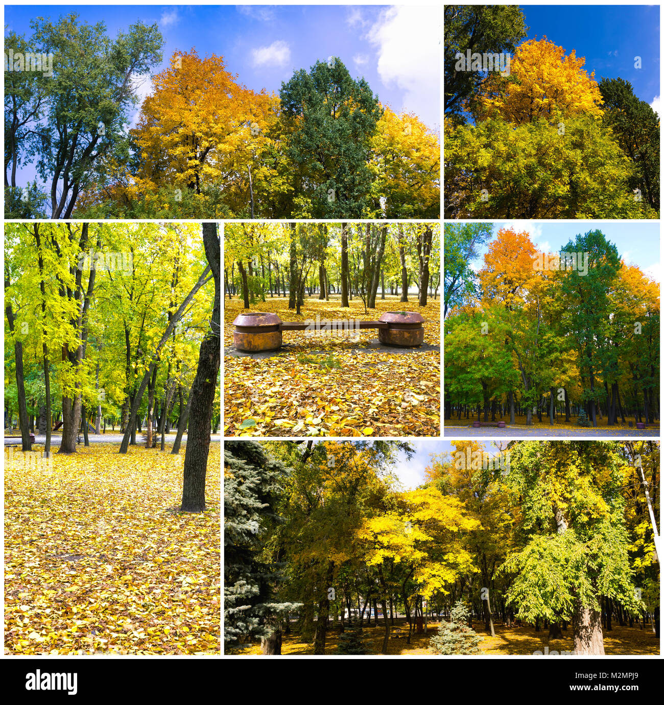 Autumn collage - Collection of autumn photos Stock Photo - Alamy