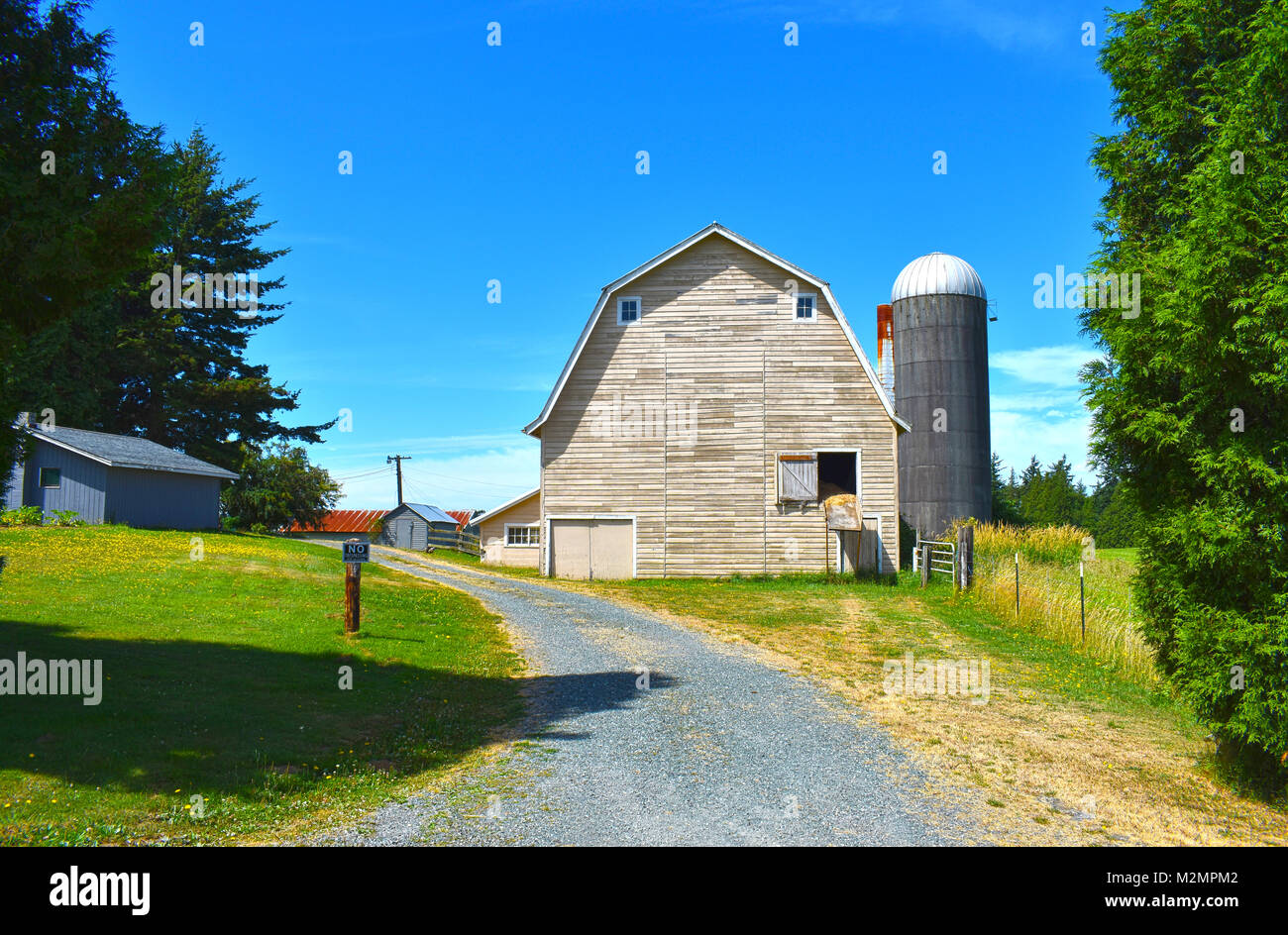 A gravel road leads to a beautiful rustic beige and cream color barn ...