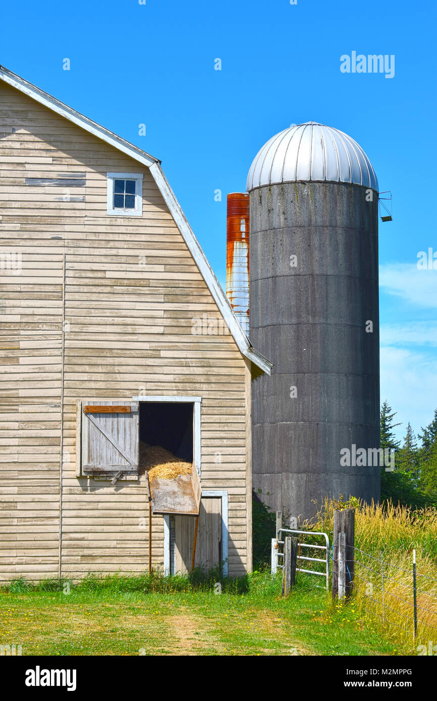 Beautiful beige and cream color barn with hay shoot and silos in the ...