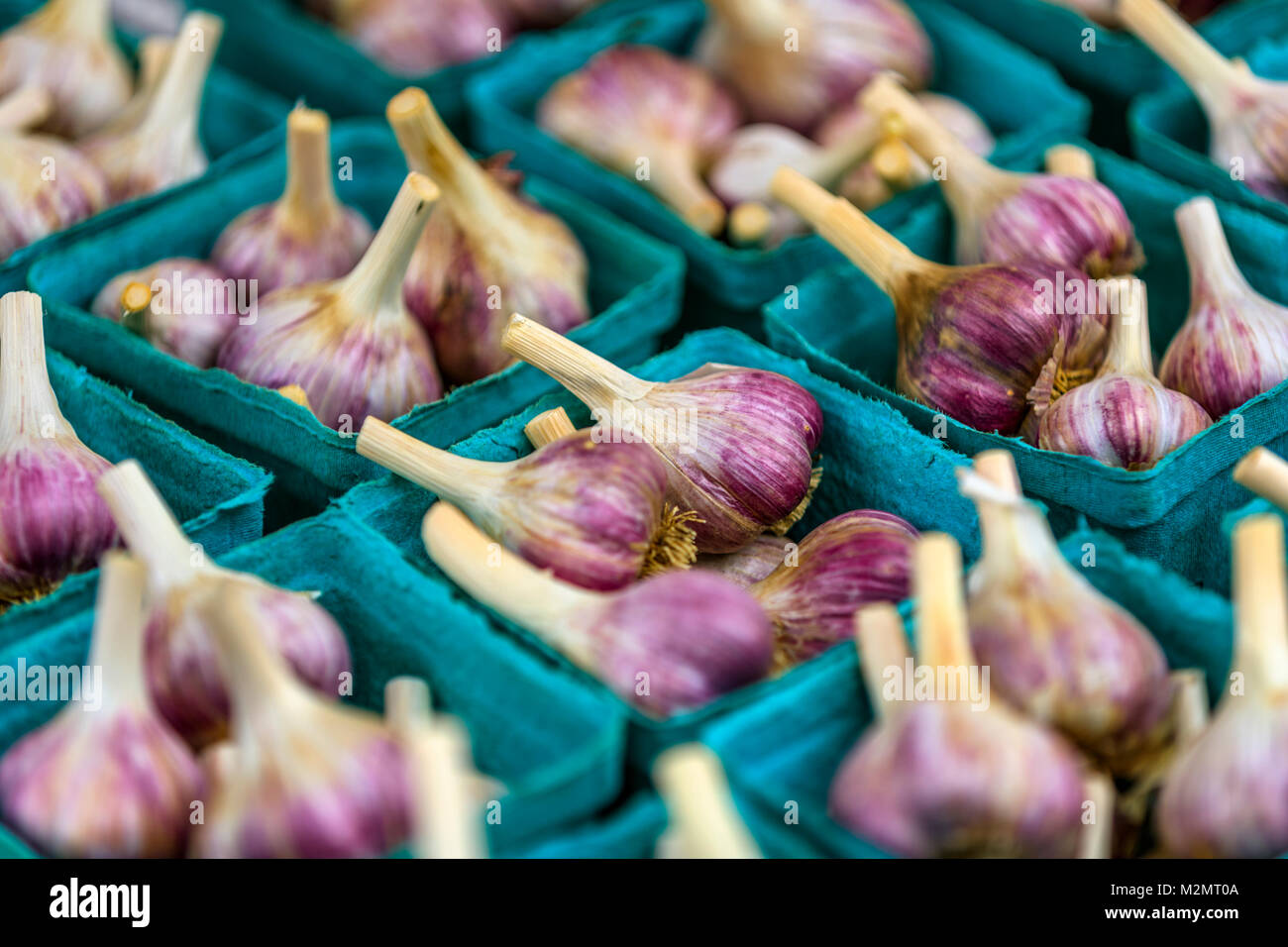 Buy british farmers hi-res stock photography and images - Alamy