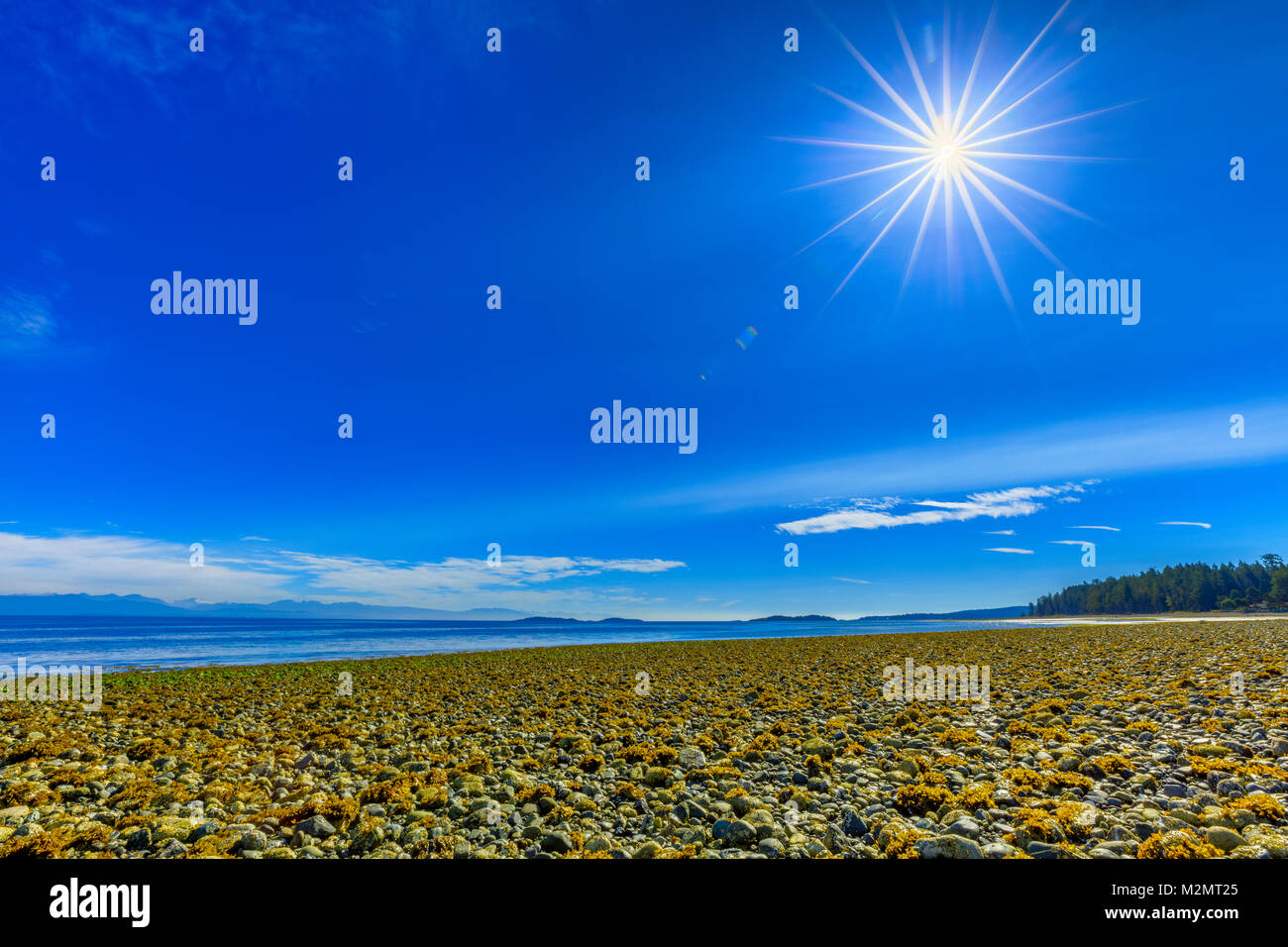 Partial eclipse over beach Stock Photo - Alamy