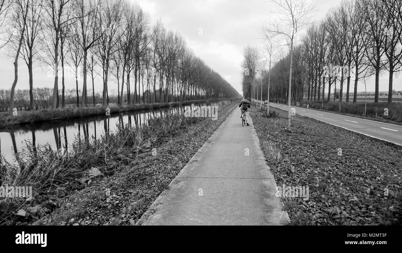 Bicycle riding along the Boudevijinkanaal, Western Flanders, Belgium ...