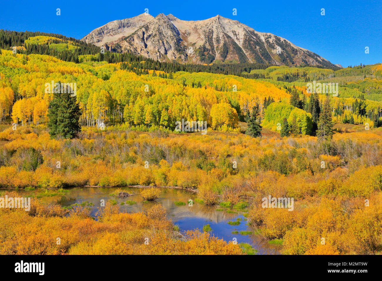 East Beckwith Mountain, Kebler Pass, Crested Butte, Colorado, USA Stock ...