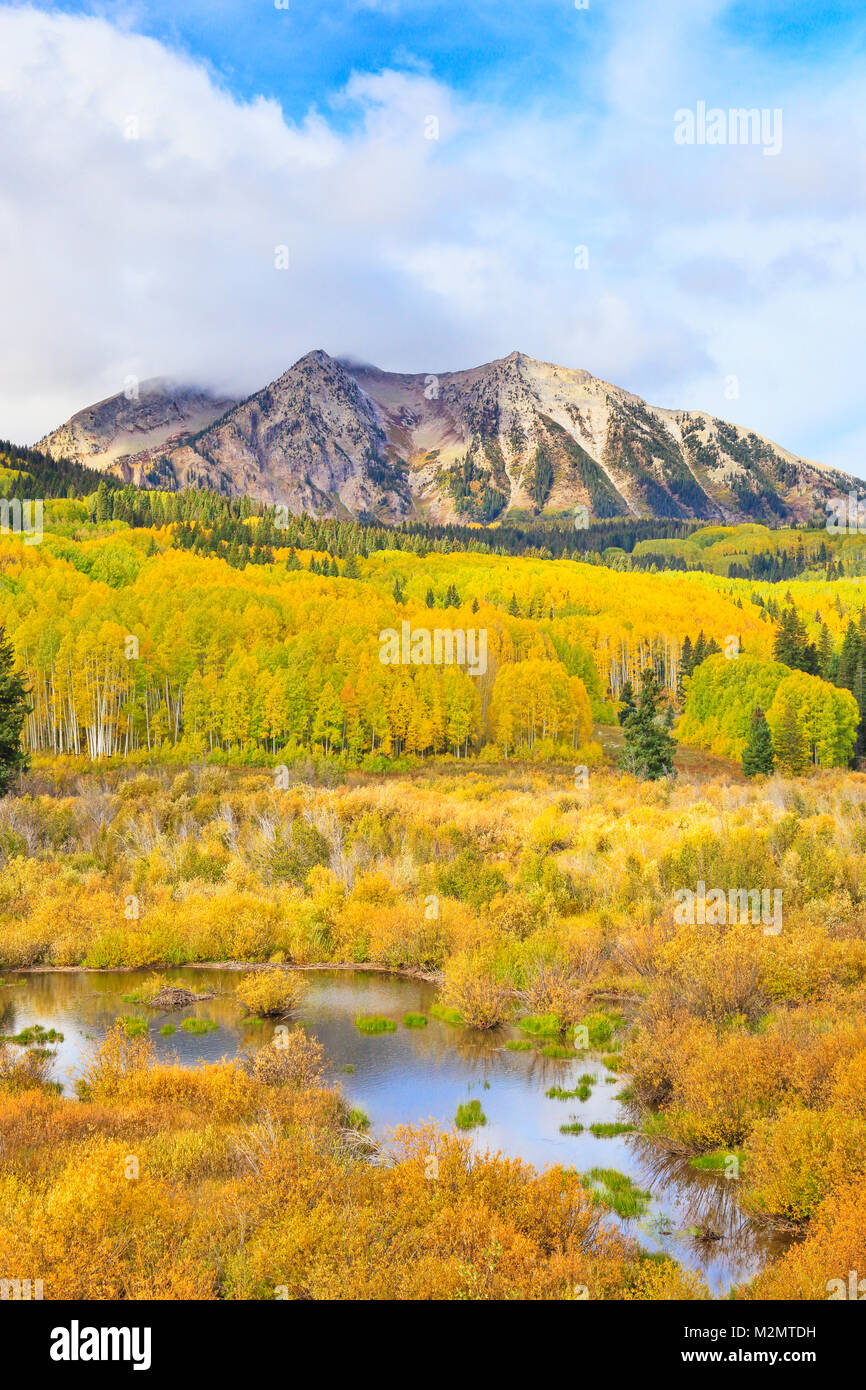 East Beckwith Mountain, Kebler Pass, Crested Butte, Colorado, USA Stock ...