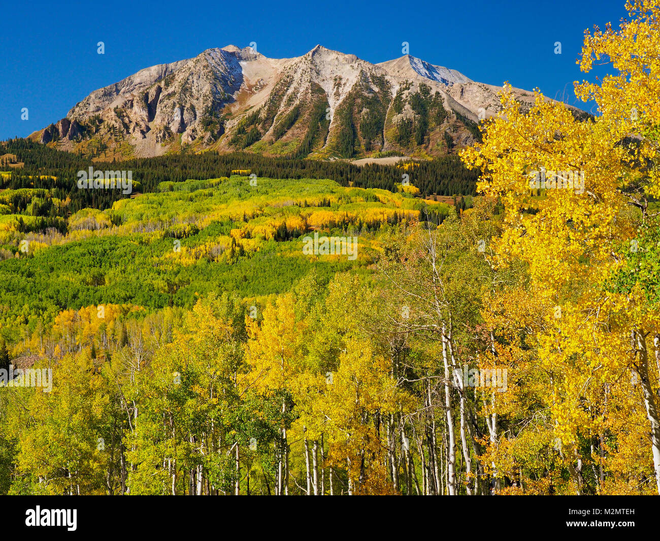 East Beckwith Mountain, Horse Ranch Park Loop Trail, Kebler Pass ...