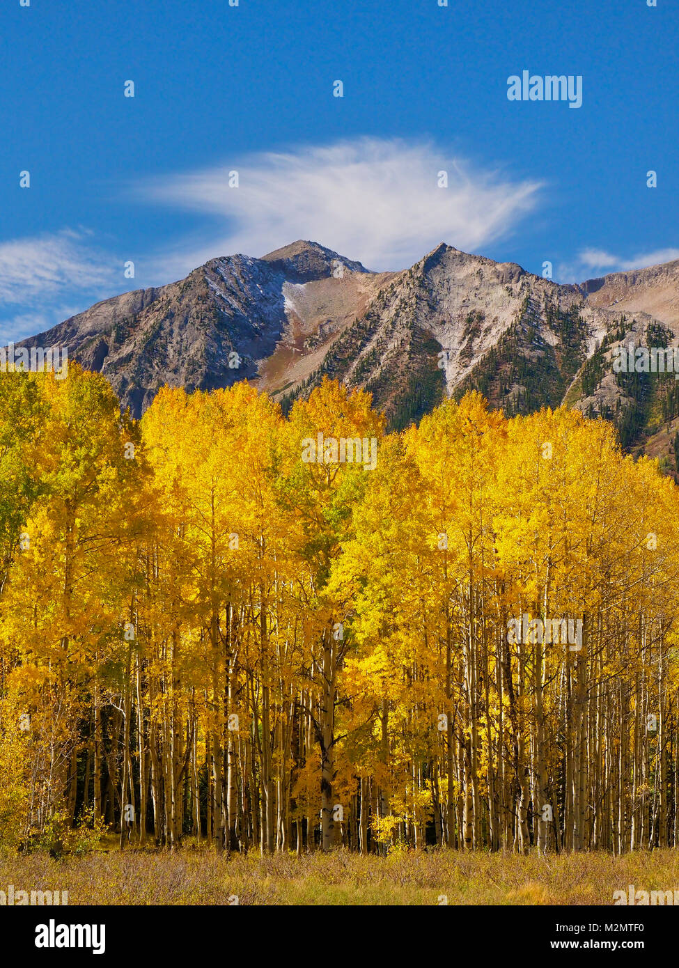East Beckwith Mountain, Horse Ranch Park Loop Trail, Kebler Pass ...