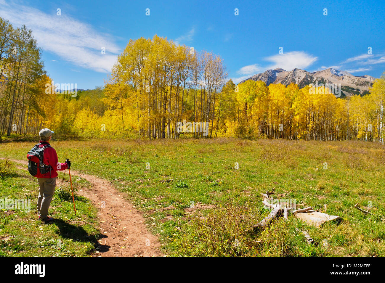 East Beckwith Mountain, Horse Ranch Park Loop Trail, Kebler Pass ...
