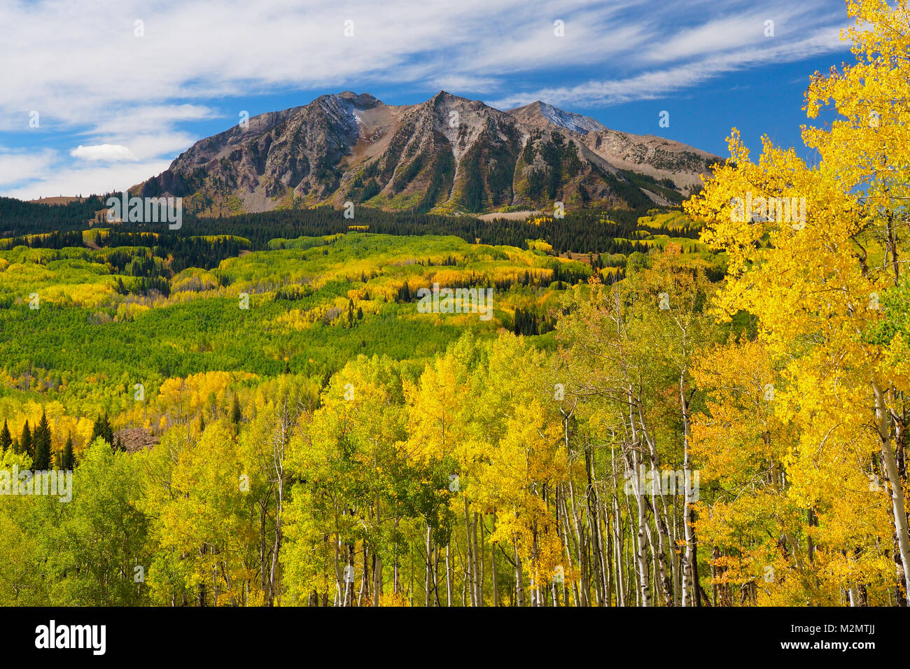 East Beckwith Mountain, Horse Ranch Park Loop Trail, Kebler Pass ...