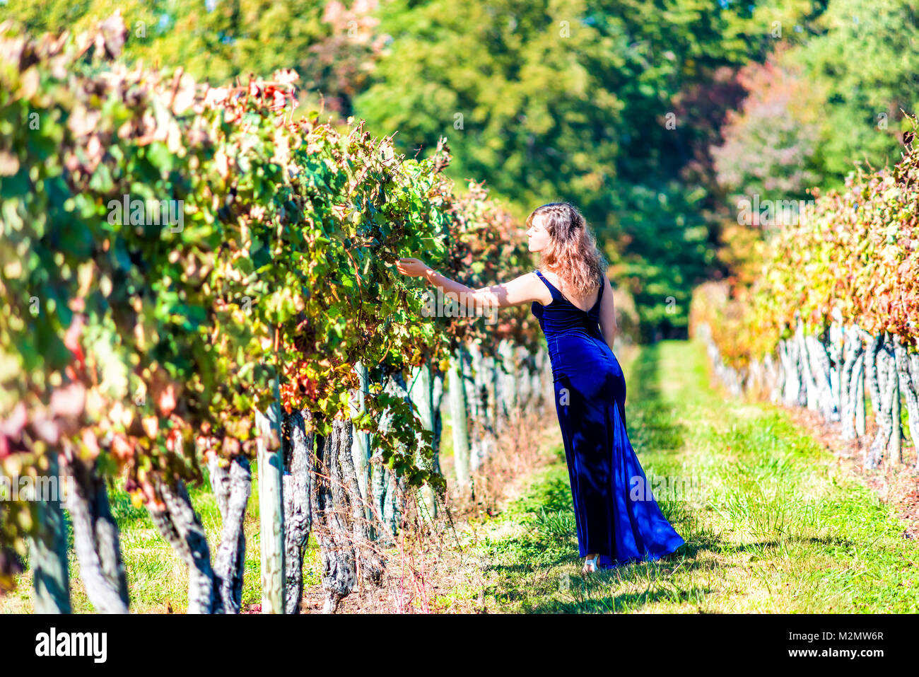 Velvet blue dress hi-res stock photography and images - Alamy