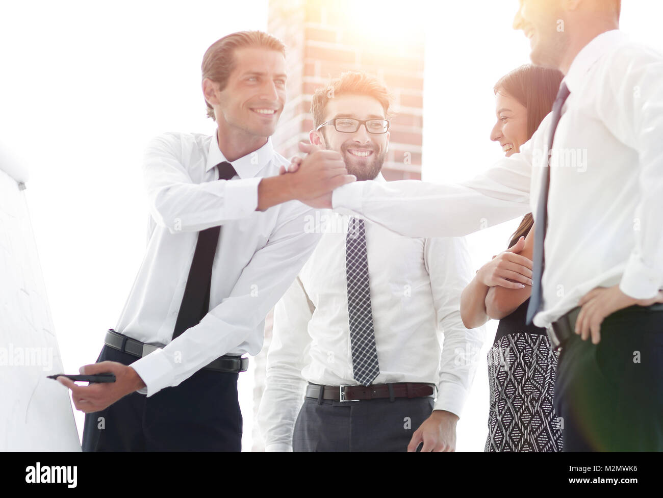 Professional team members shake hi-res stock photography and images - Alamy