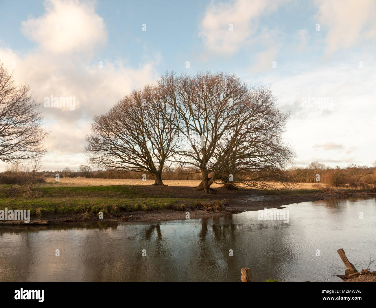large bare tree branches over lake river country winter ; essex ...