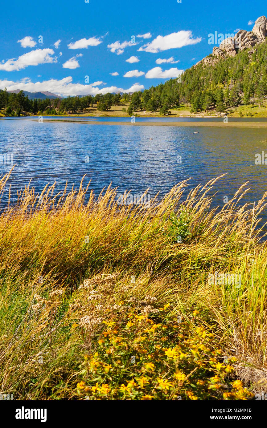 Lily Lake, Rocky Mountain National Park, Estes, Colorado, USA Stock ...
